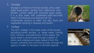 Environment & Health | PPTX