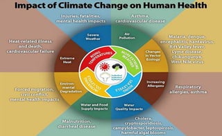 Environment and Health.pdf