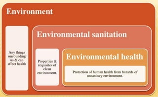 Environment and Health.pdf
