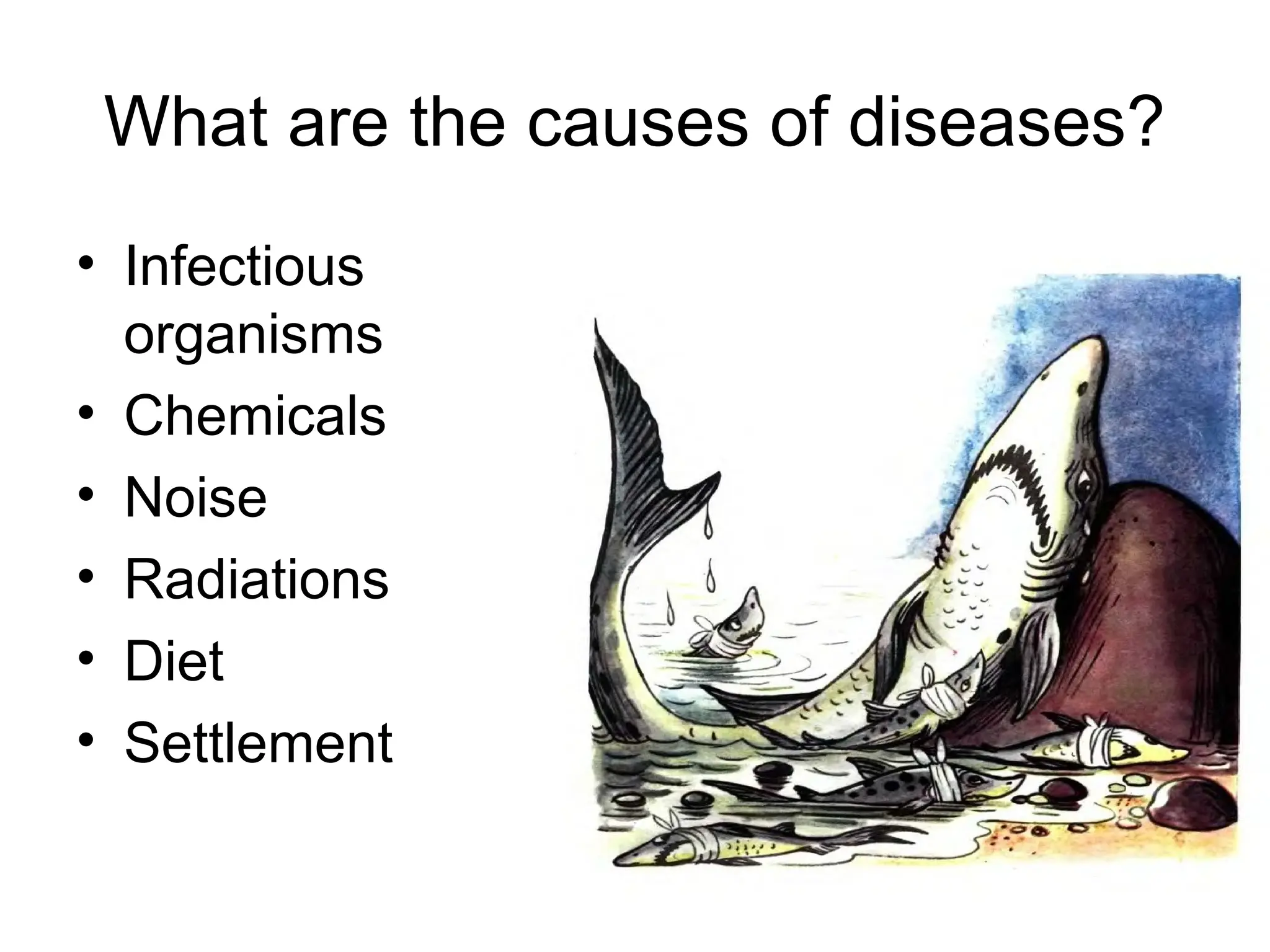 Environment and human health - science.ppt