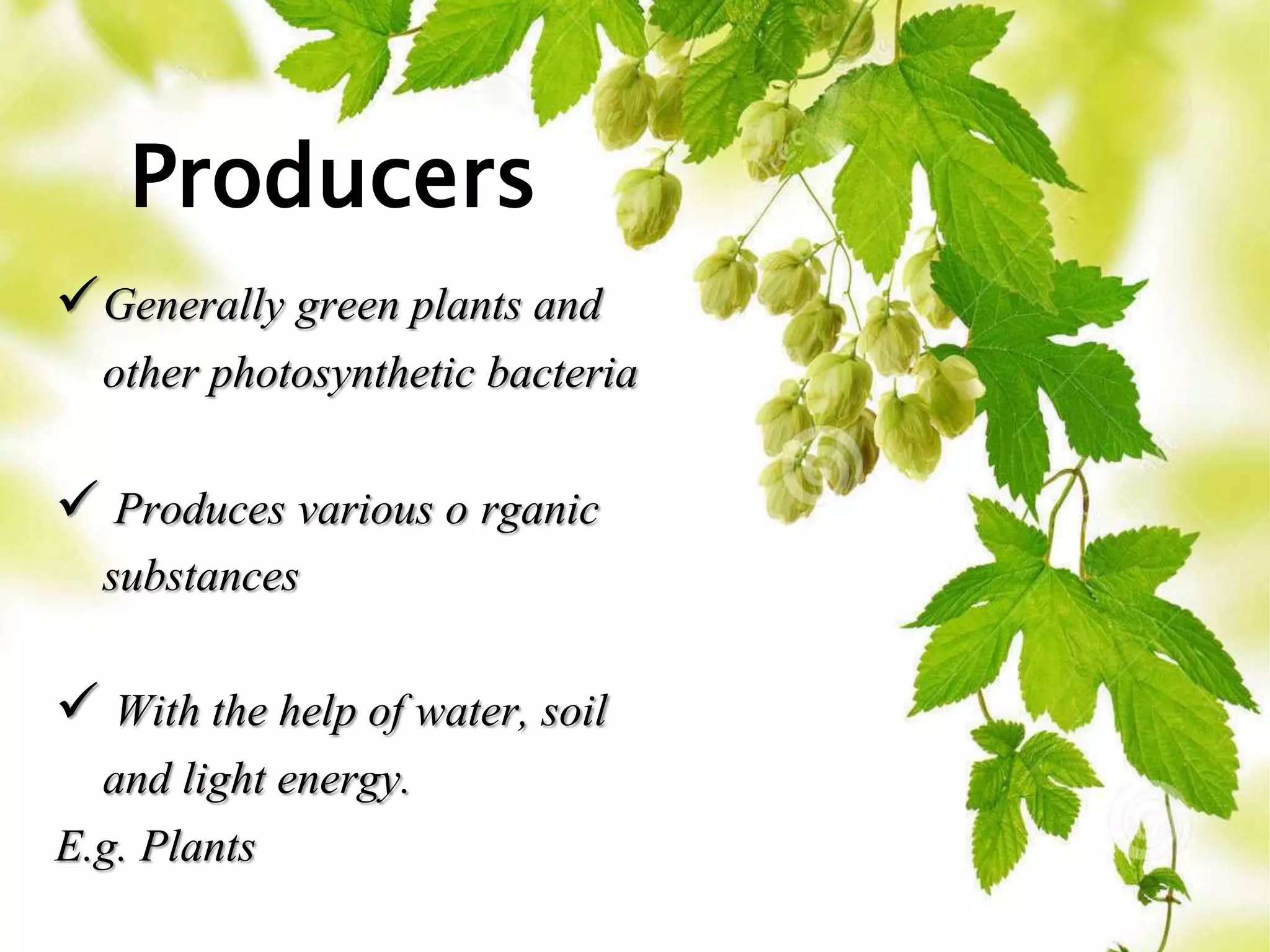 Environment and its components | PPTX
