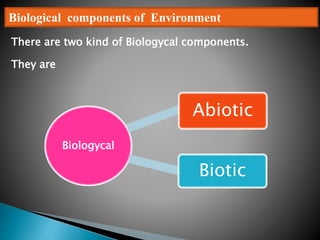 Environment and its components | PPTX