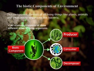 Environment and its components | PPTX