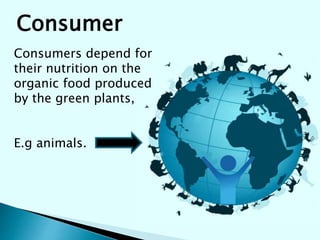 Environment and its components | PPTX