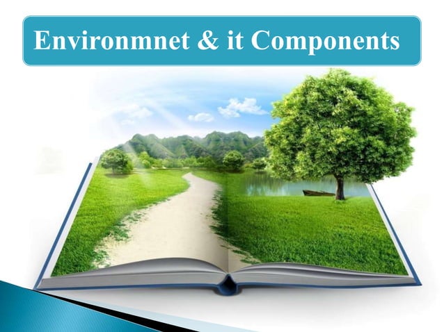 Environment and its components | PPTX | Environment | Science
