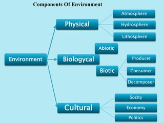 Environment and its components | PPTX