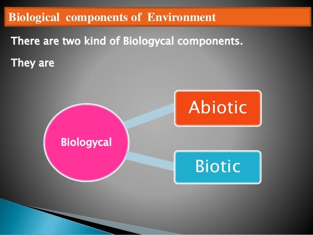 Environment and its components