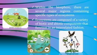 Environment and its components | PPT