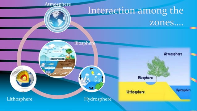 Environment and its components | PPT