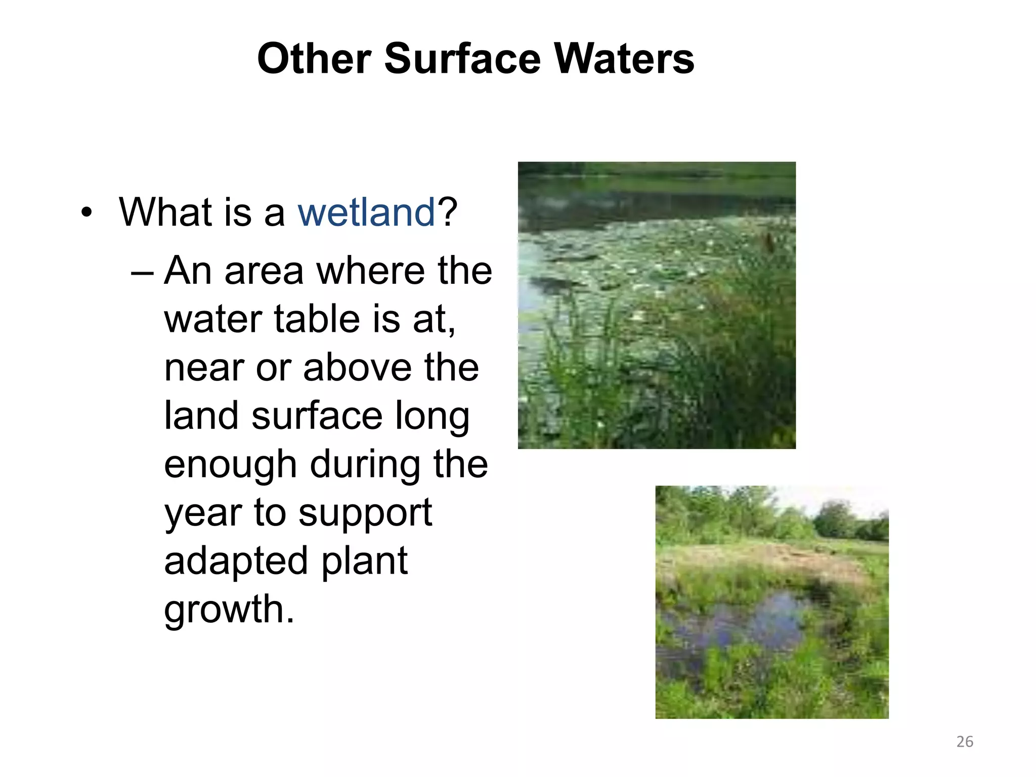 Environment and its multidimensional nature Definition scope and ...