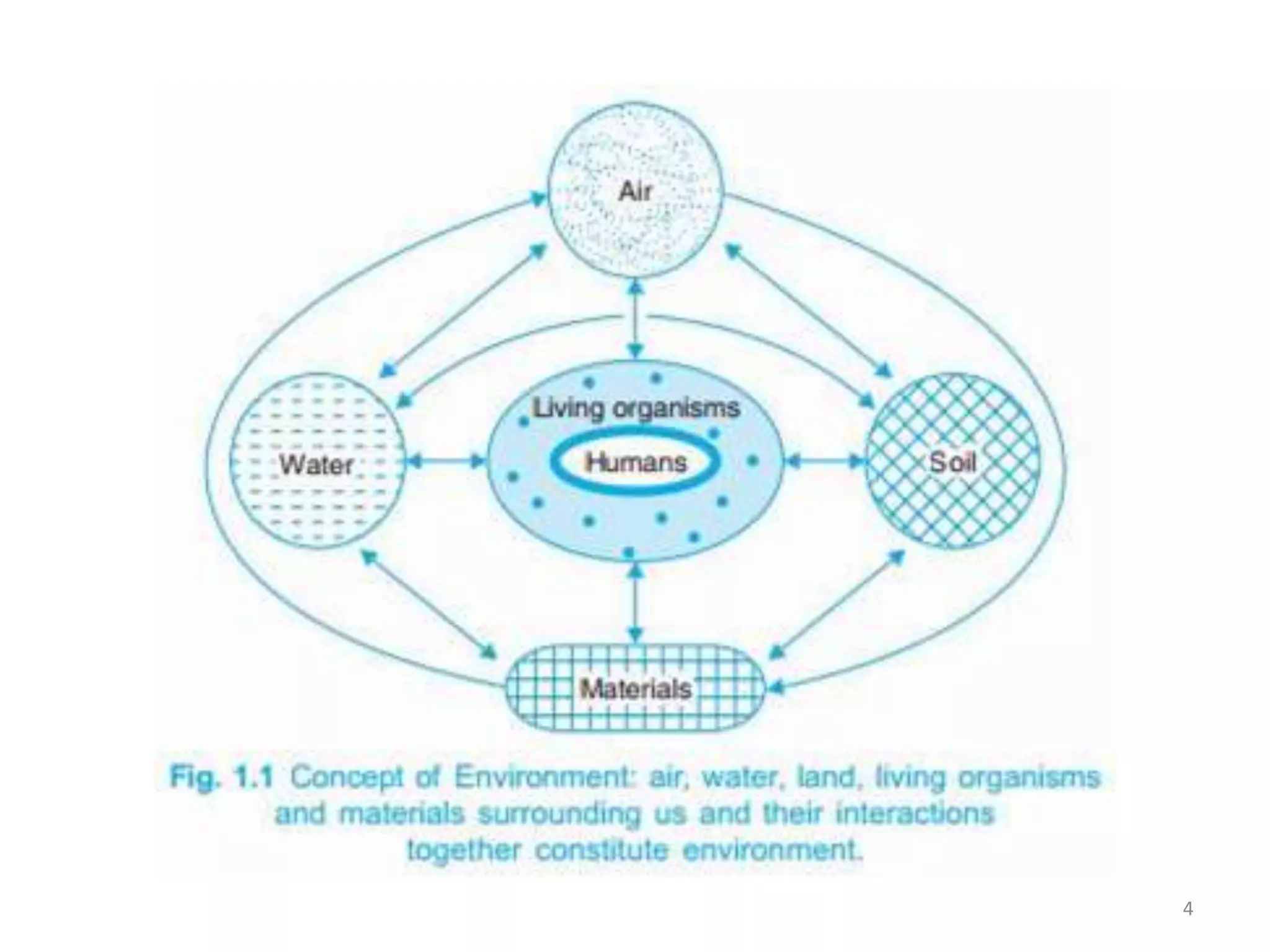 Environment and its multidimensional nature Definition scope and ...