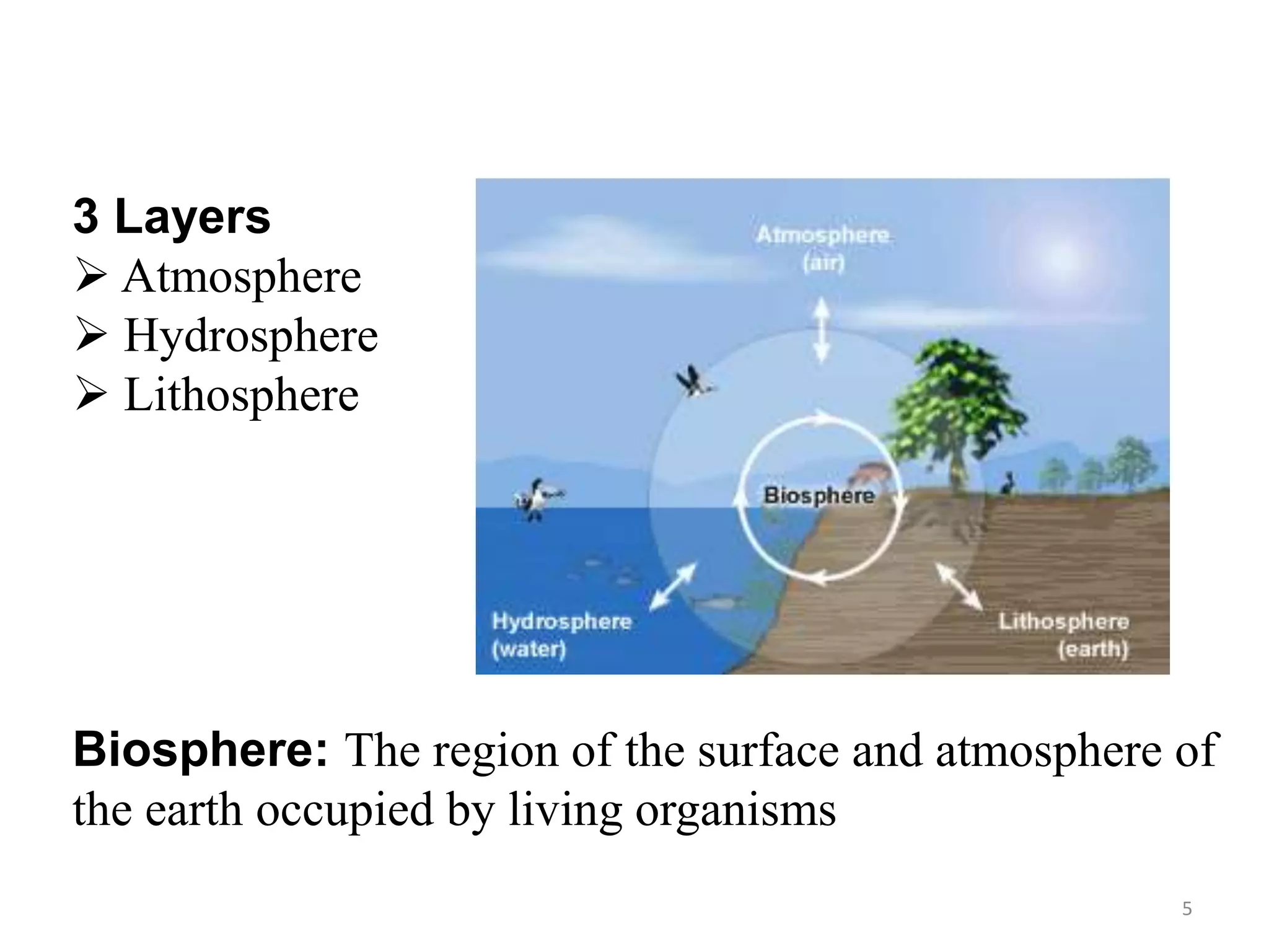 Environment and its multidimensional nature Definition scope and ...