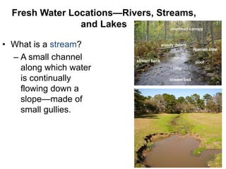 Environment and its multidimensional nature Definition scope and ...