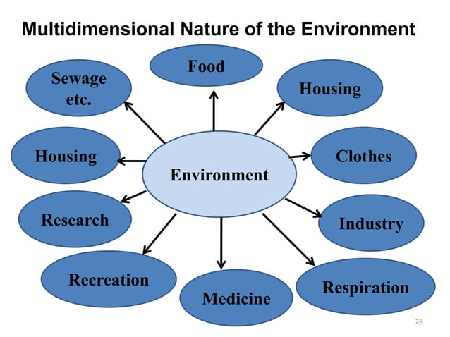 Environment and its multidimensional nature Definition scope and ...