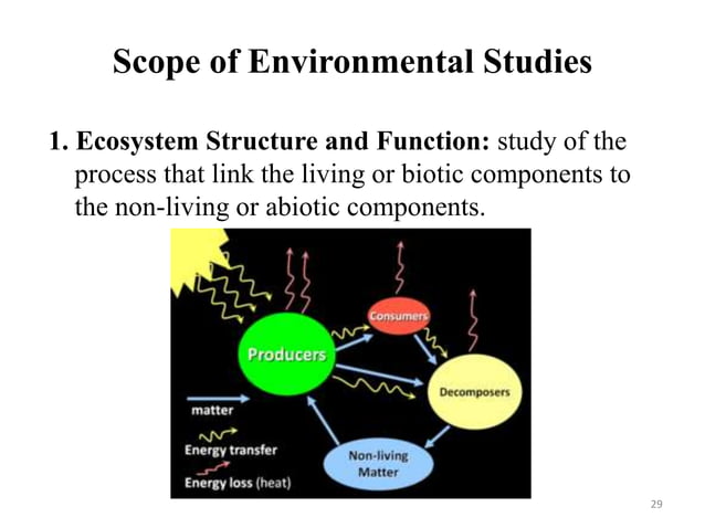 Environment and its multidimensional nature Definition scope and ...