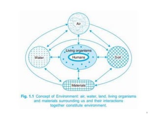 Environment and its multidimensional nature Definition scope and ...