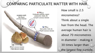 Impact of Environment on Health of humans | PPT