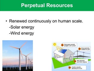 Environment and sustainability | PPTX