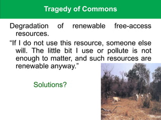 Environment and sustainability | PPTX