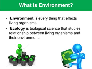 Environmental Sustainability Definition