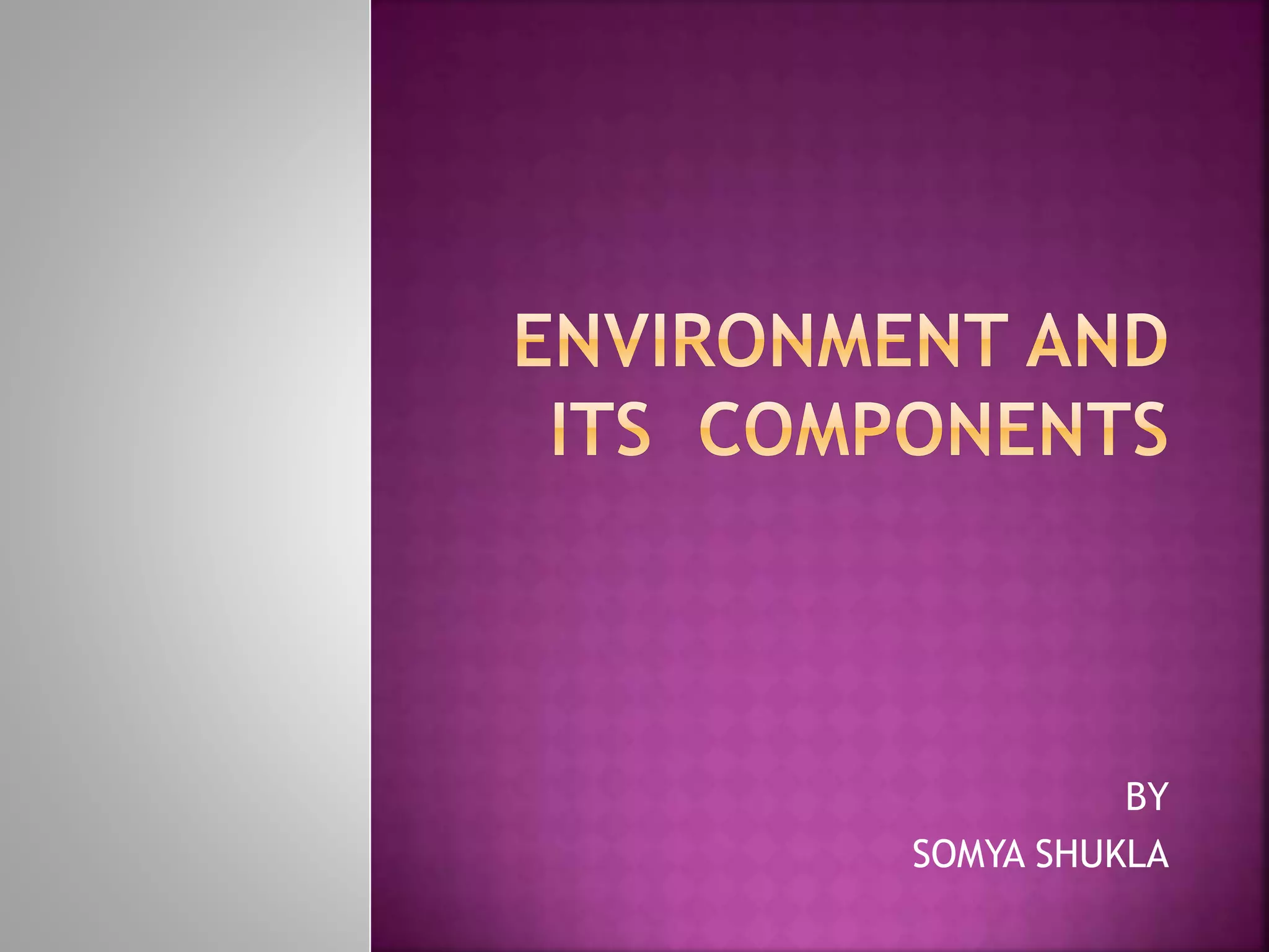 Environment and their components | PPTX