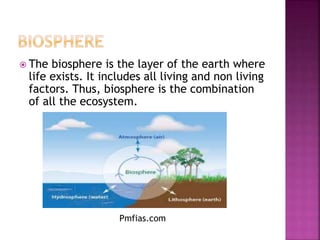 Environment and their components | PPTX