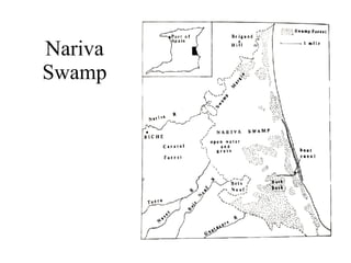 Nariva Swamp and urbanization | PPT
