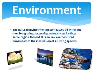Environment ppt | PPTX