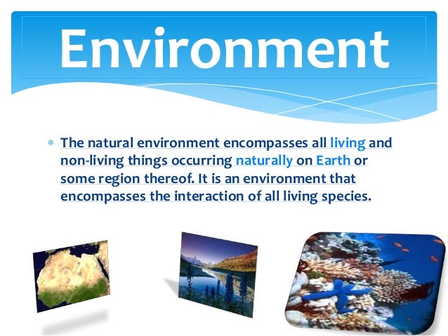 Environment ppt