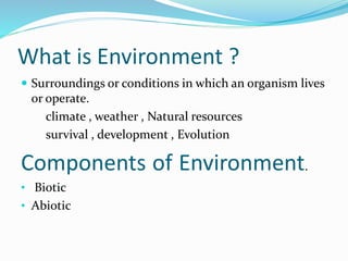 Environment - Basics | PPTX | Science