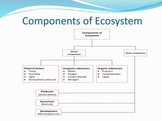 Environment - Basics | PPTX | Science