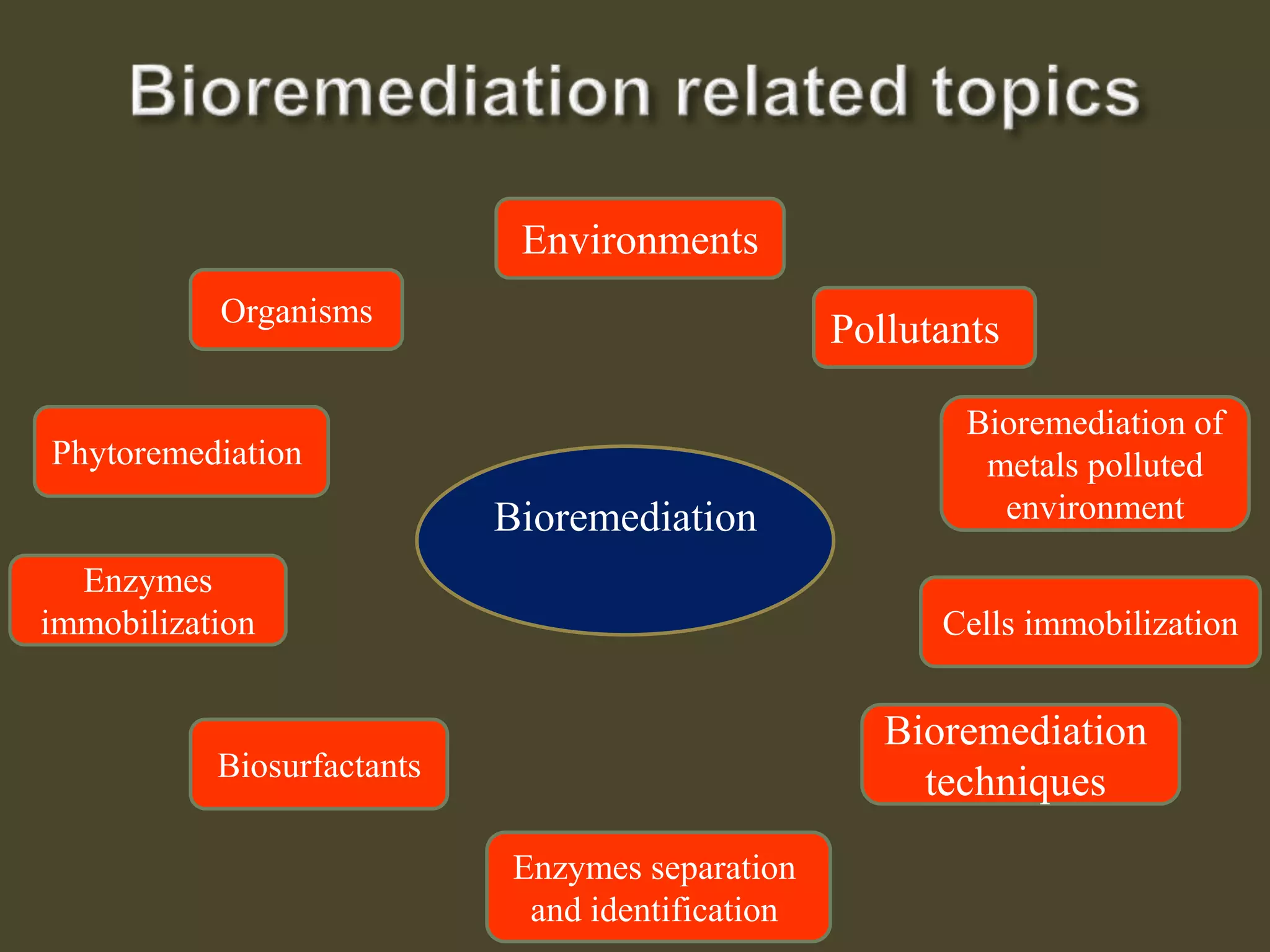 BASIC Environment bioremediation BY TANZEEL REHMAN | PPTX