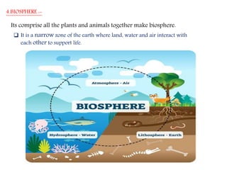 Environment (chapter 1, class vii) | PPTX