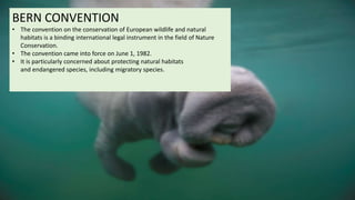 Environment conventions | PPTX