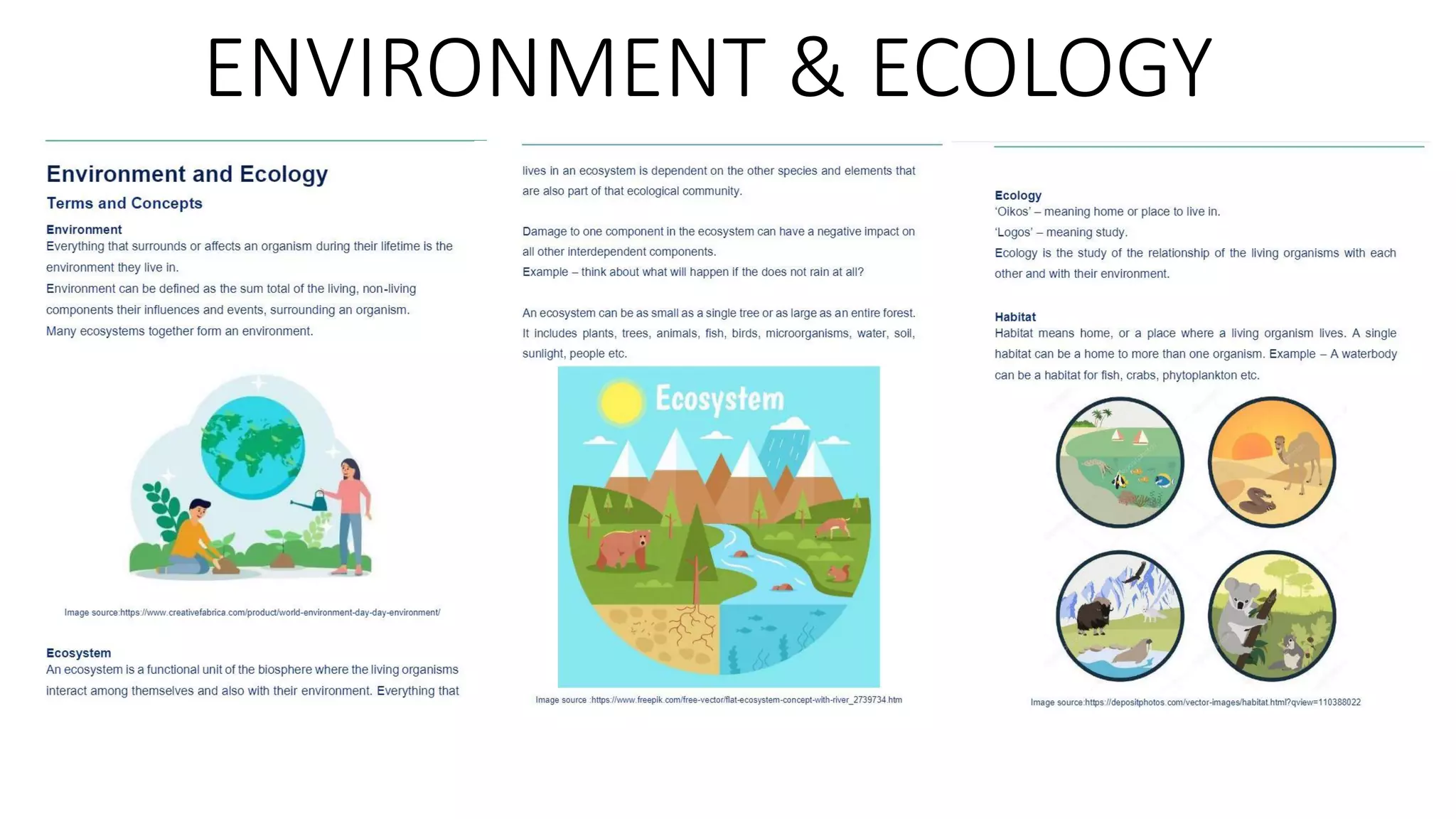 ENVIRONMENT & ECOLOGY.pdf