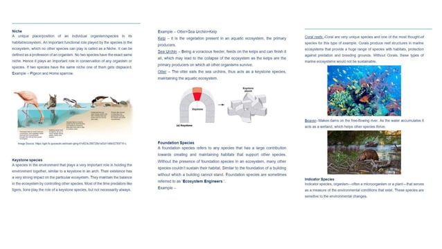 ENVIRONMENT & ECOLOGY.pdf