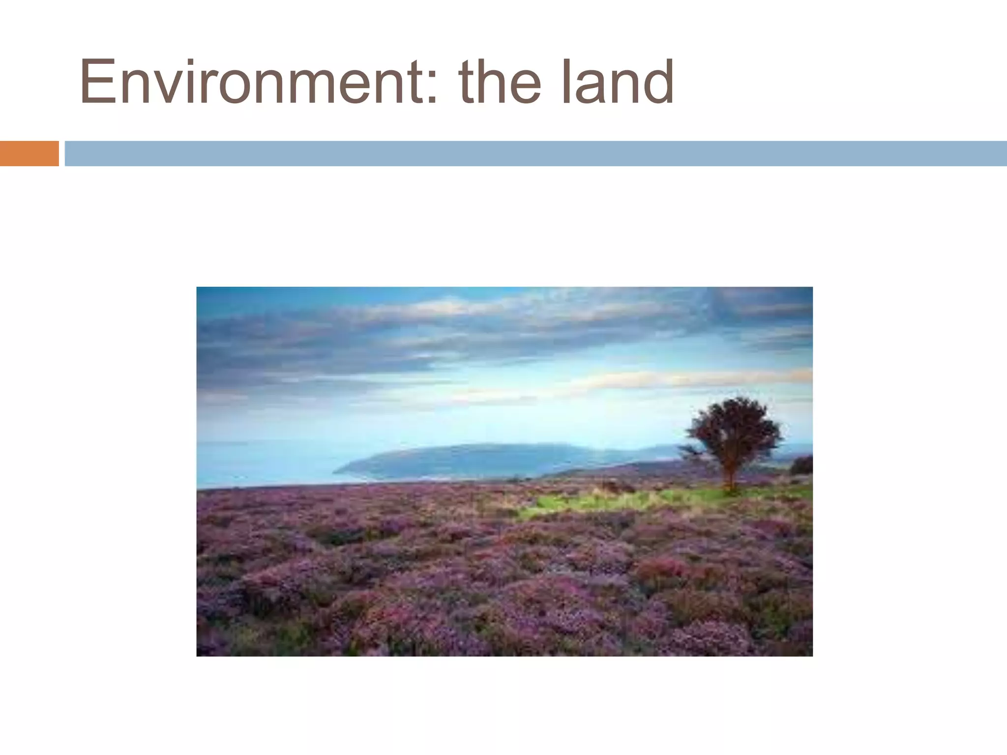 human-environment interaction | PPT