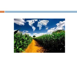 human-environment interaction | PPT