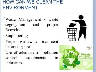 Environment Basics for Elementary School Students | PPTX
