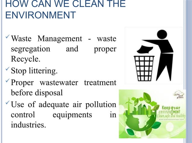 Environment Basics for Elementary School Students | PPTX