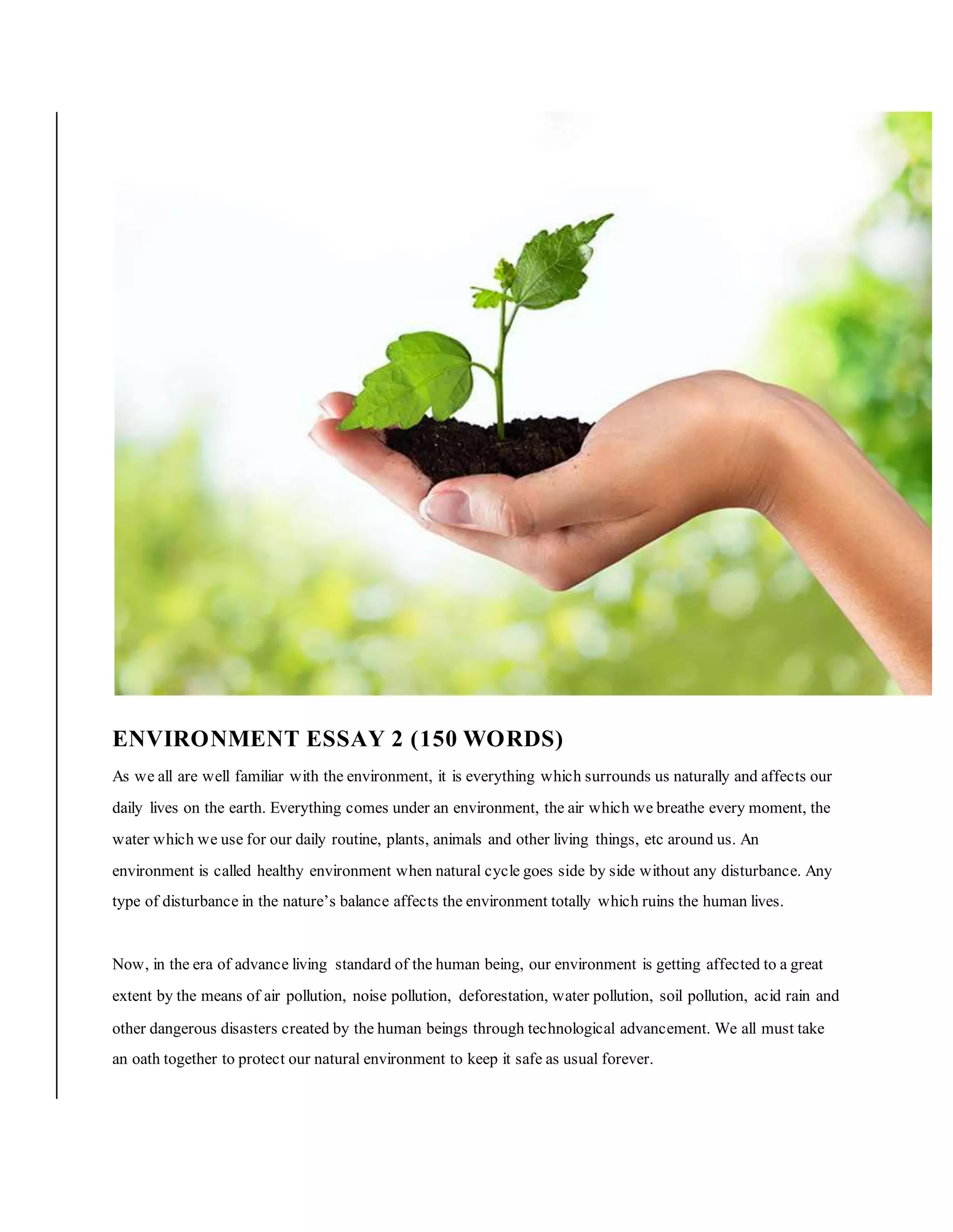 Environment essay | DOCX