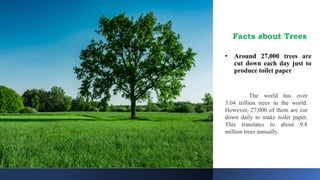 Environment Fun Facts.pptx