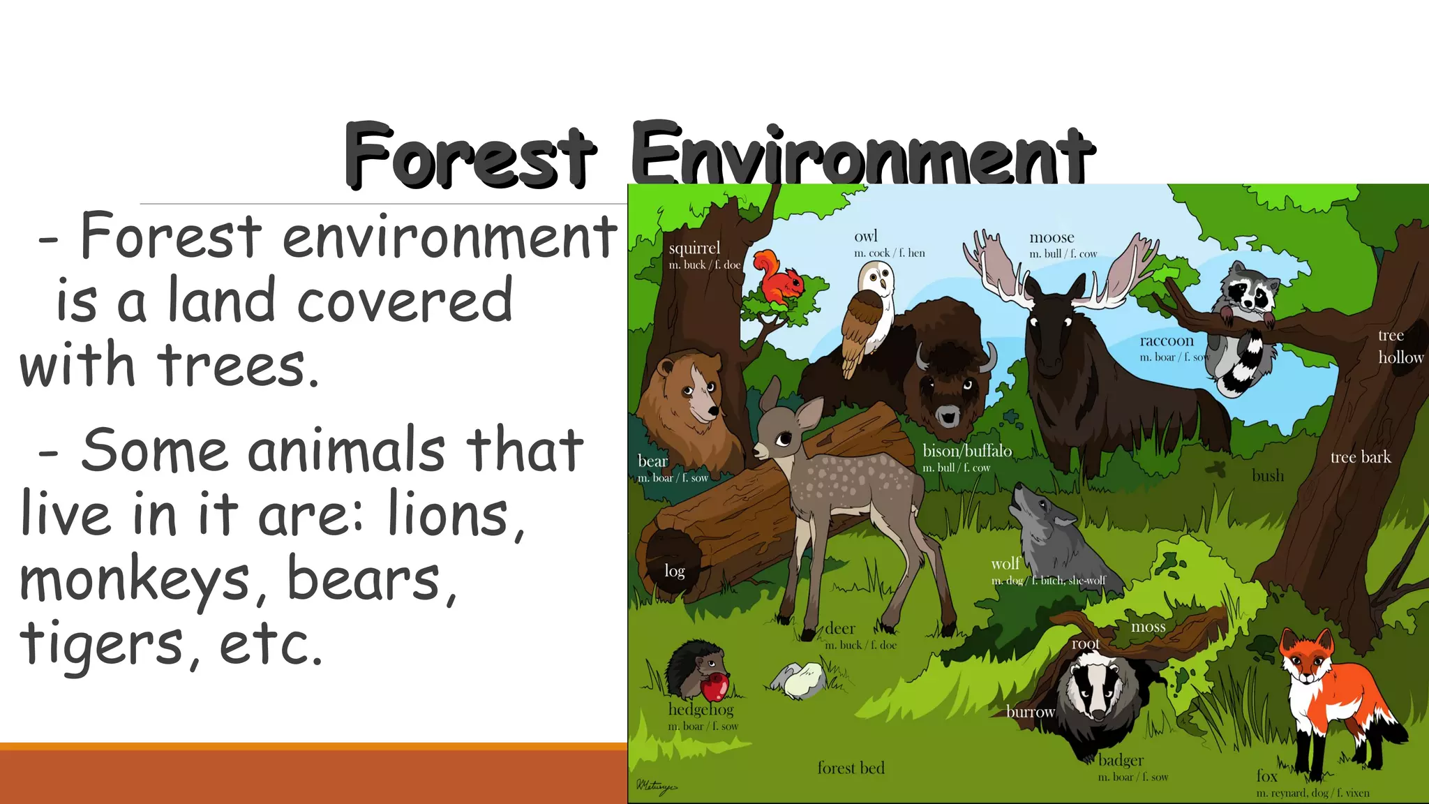 Environment grade 1 | PPT