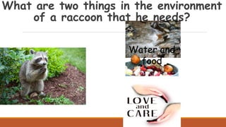 Environment grade 1 | PPT
