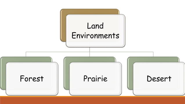Environment grade 1 | PPT