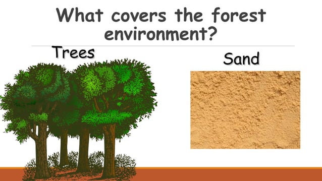 Environment grade 1 | PPT