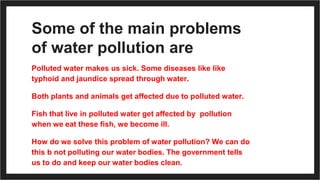 Environment grade 3 | PPTX