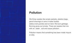 Environment grade 3 | PPTX