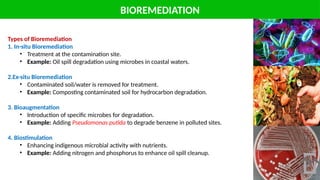 Environment (Gray) Biotechnology - Global aspects | PPTX