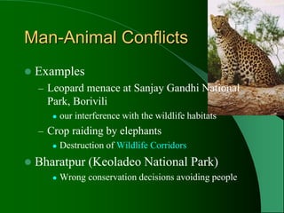 Environment By Green Yatra | PPSX